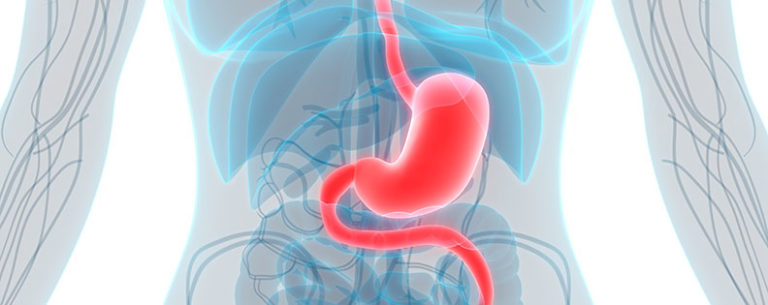 GI Specialists - Oneida Health